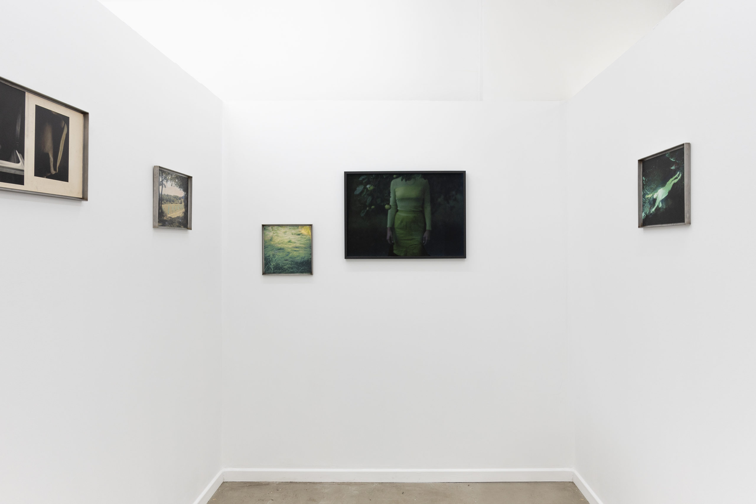 Lara Gasparotto - Artists - Stieglitz 19